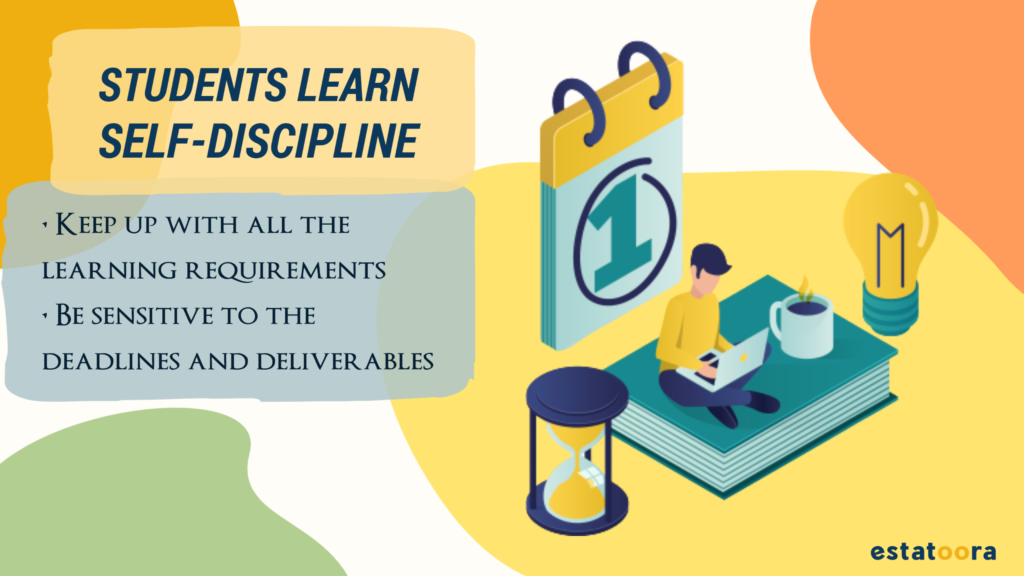 Pros and Cons of Online Learning - Estatoora News